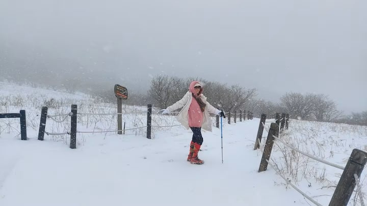 <Gombaeryeong 4-person Dining Table> Healing House - 인제군