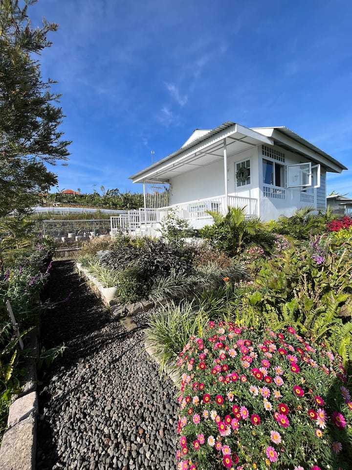 Double Room Cabin With Garden View, Wanagiri Bali - Munduk