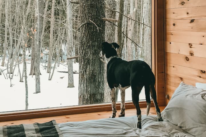 2 Bed Cabin - Postcard Cabins Skagit Valley - Big Lake, WA