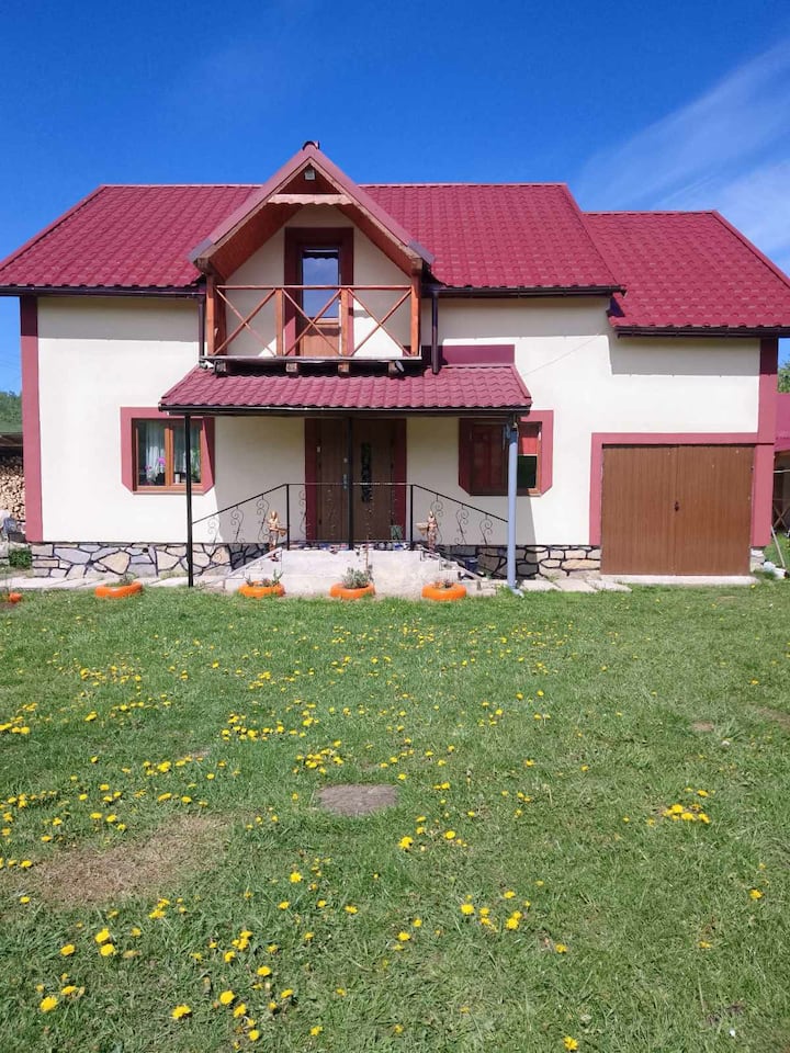 Гірська чорниця - Lviv