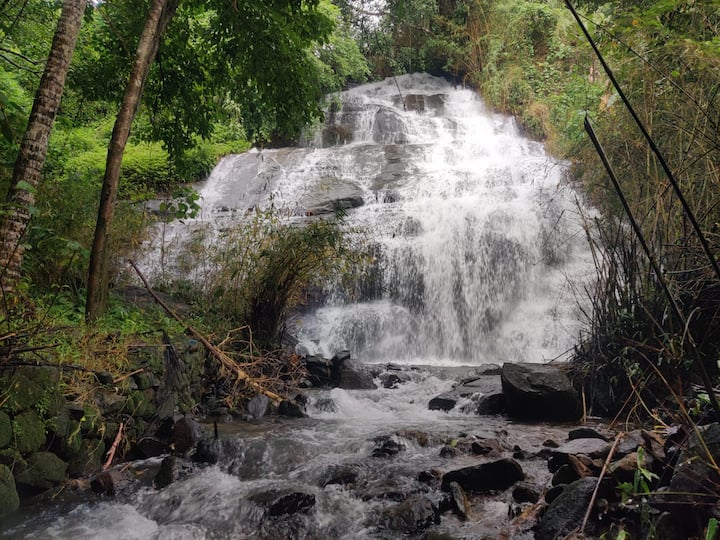 Silent Stays - Iritty