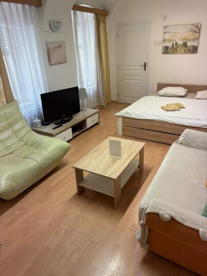 Príjemný Apartmán V Srdci Mesta Pre 5 Osôb - Košice