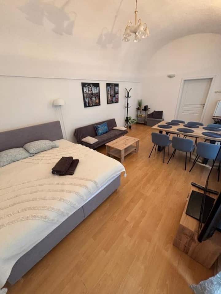 Veľký Party Apartmán Pre 12 ľUdí V Centre - Košice