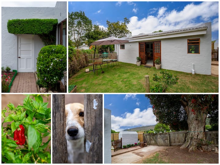 Disselblom Cottage - Sedgefield