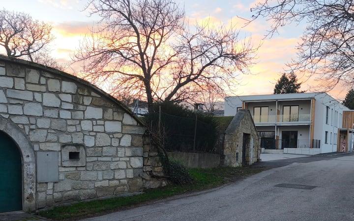 Apartments Kellergasse - Blaues Apartment - Eisenstadt
