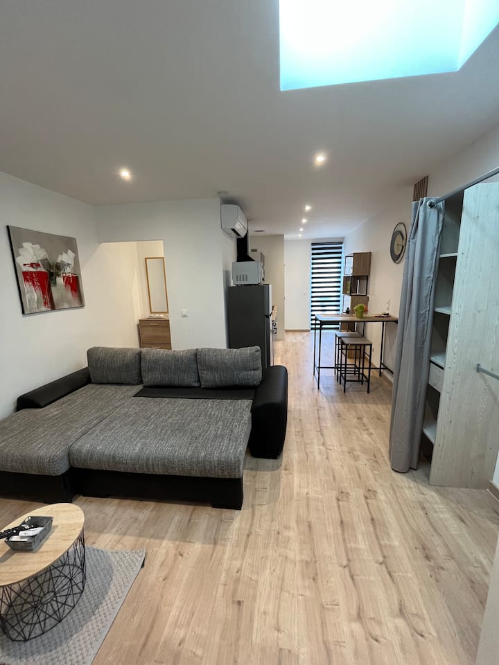 Magnifique Studio Meublé De Standing - Freyming-Merlebach