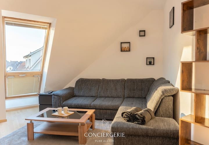 Appartement Chaleureux - 20 Min De Strasbourg - Wasselonne
