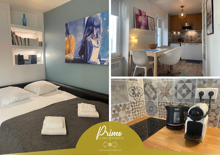 Nuit Centrale By Primo Conciergerie - Clermont-Ferrand