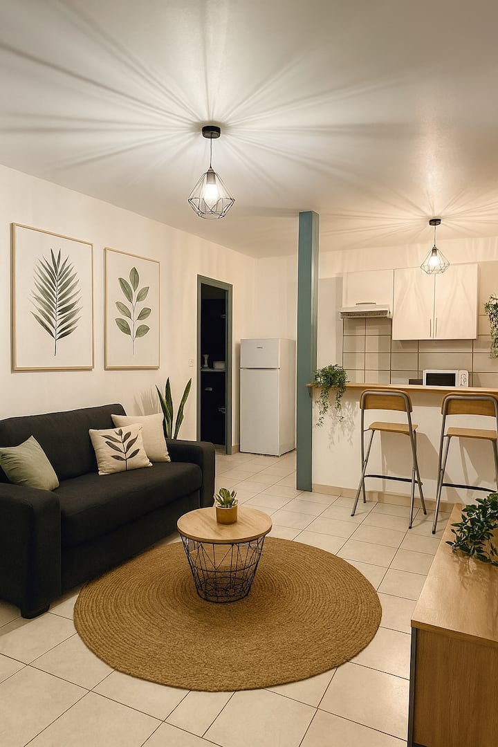 Joli Appartement Centre-ville 5 Min Cathédrale - Sens