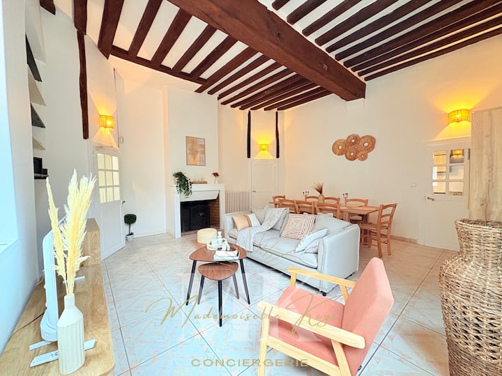 La Villa Richebois - Hyper Centre - Sens