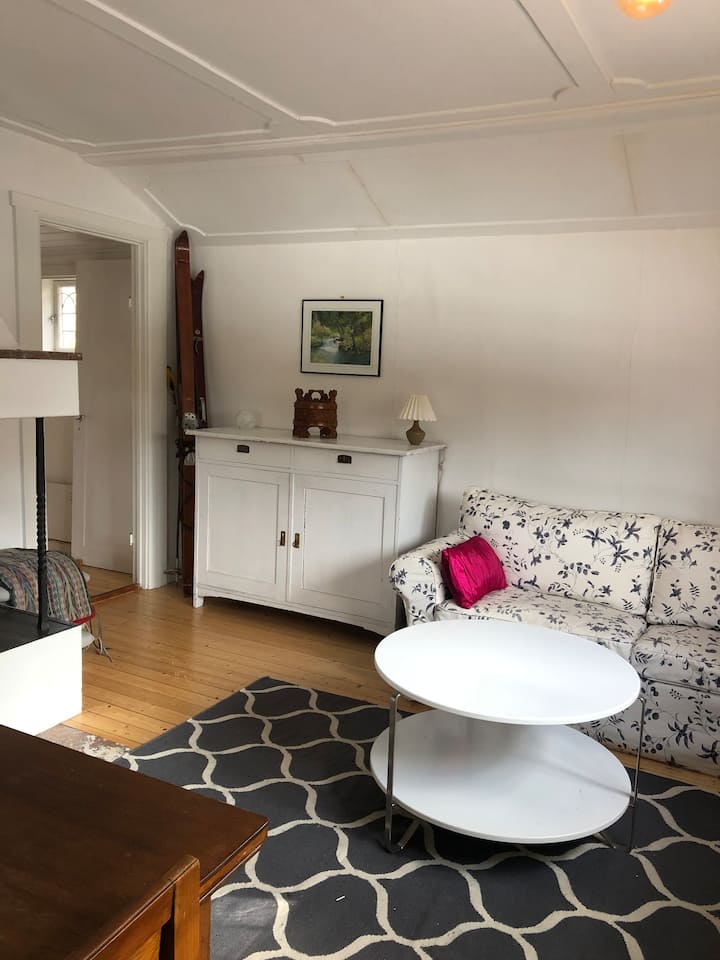 Lantligt Läge I Leksand! - Leksand