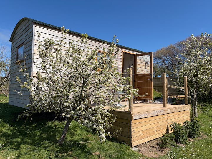 Rural Retreat Near Salcombe With Stunning Views - Salcombe