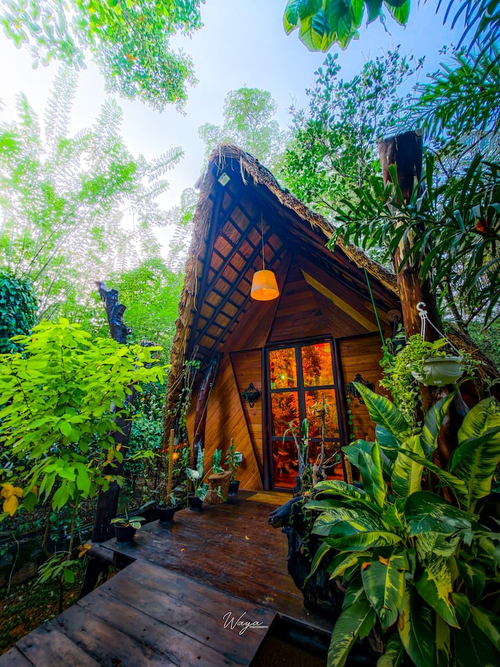 Bed & Breakfast By Chika's Place - Sri Lanka