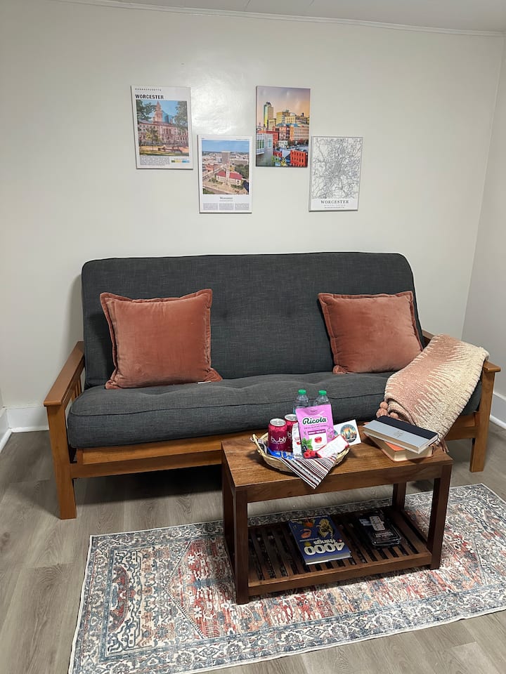 1bd, Worcester, Near Boston, Parking, Polar Park - Worcester, MA