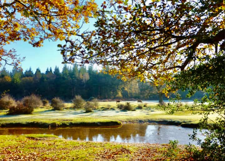 Forest Walks, Log Fires & Relax - Ringwood