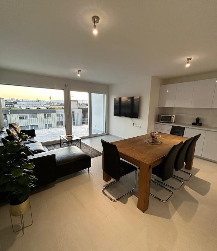 Baseliving Penthouse · Skyline View · Private Lift - Basel