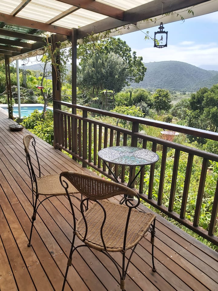 Faraway - Wilderness