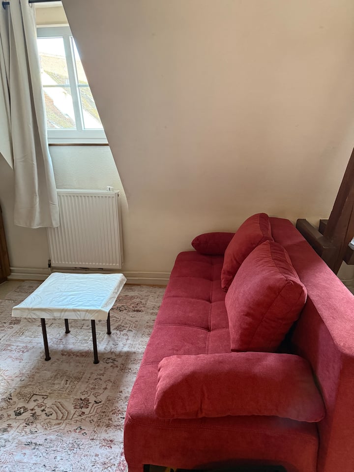 Petit Nounours - Riquewihr