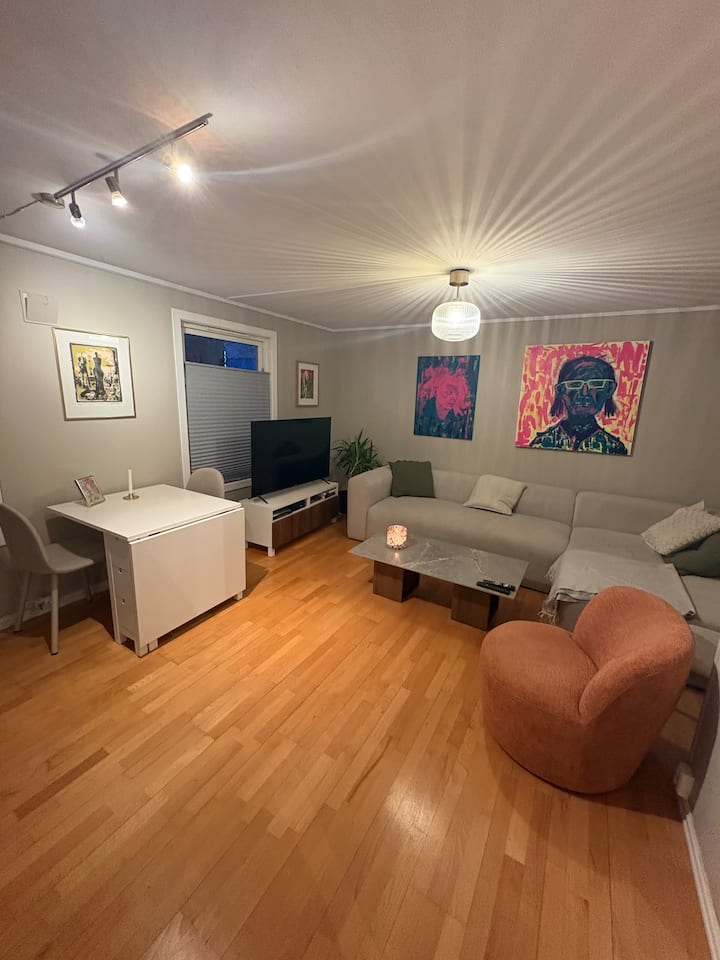 Sentrumsnær Leilighet På Møllenberg - Trondheim