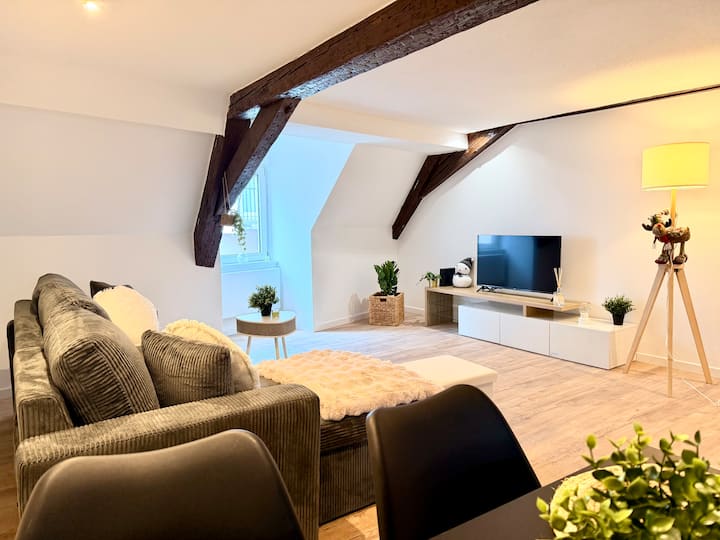 Duplex Au Cœur De La Ville Confort Et Style - Mulhouse