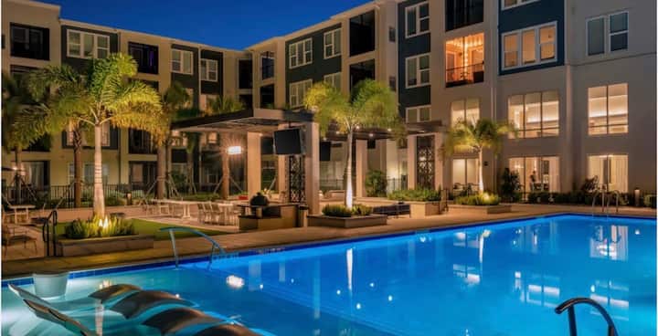 Beautiful Modern Apartment With Nice Amenities - Odessa, FL