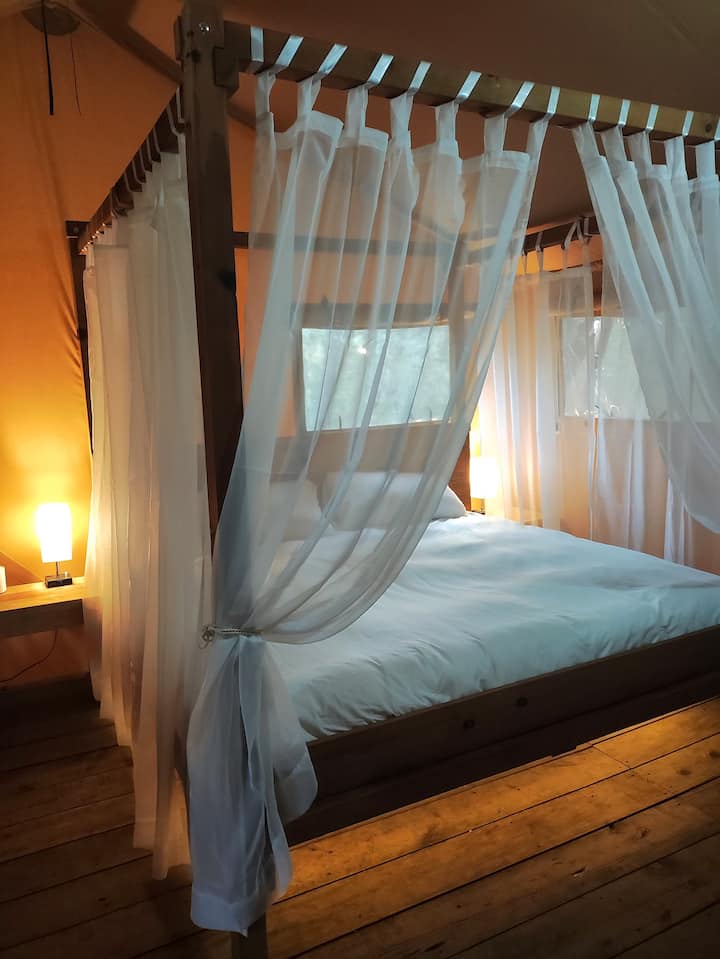 Cabaña Romántica En El Bosque - Nuevo León