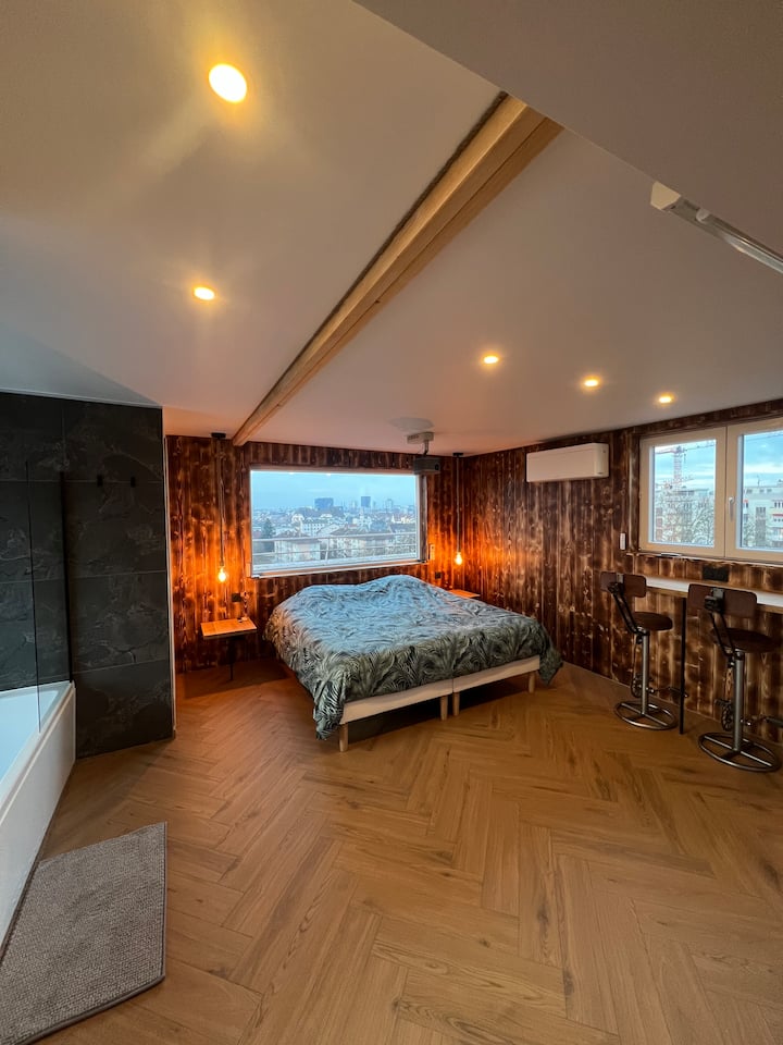 Chalet Sur Le Toit De Strasbourg / Spa / Cinéma - Straatsburg