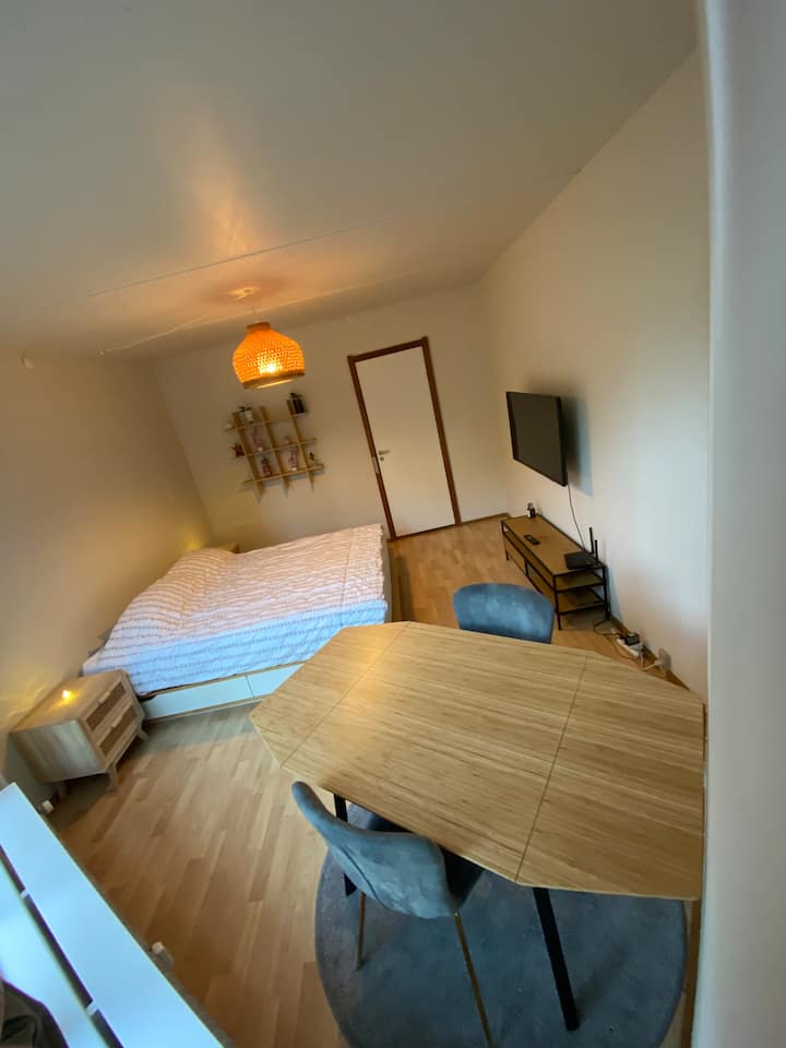 Small Cozy Apartment - Copenhagen