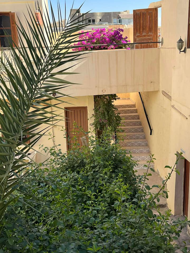 Hôtel 20 Mars : Hôtel En Plein Centre (Room 2) - Tunisie