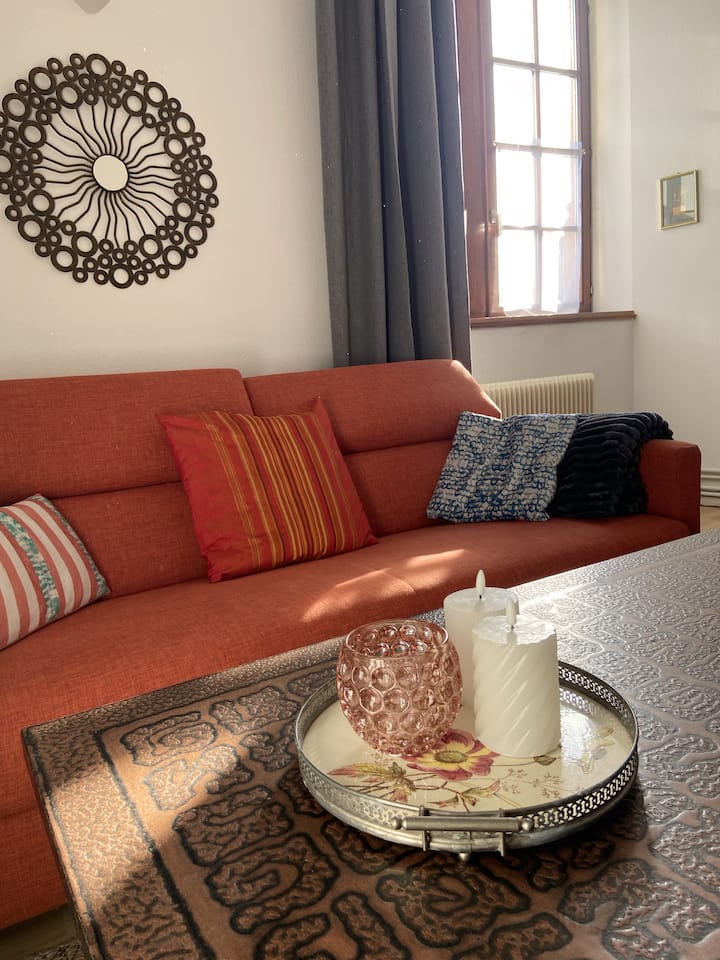 Appartement Renaissance Classé • Charme Alsacien - Molsheim