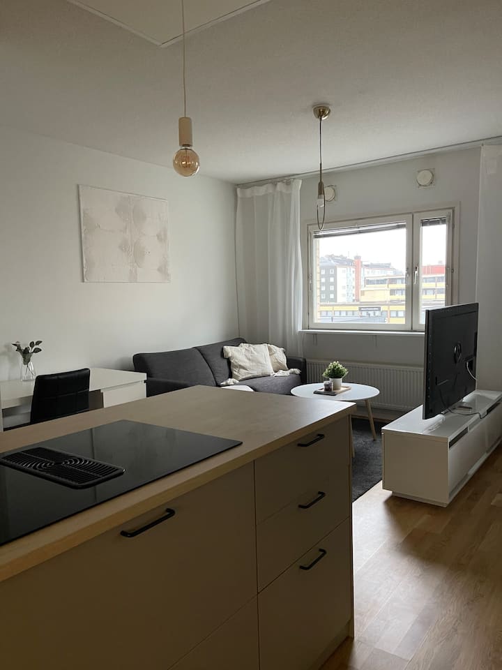 Apartments Puijonkatu - Kuopio