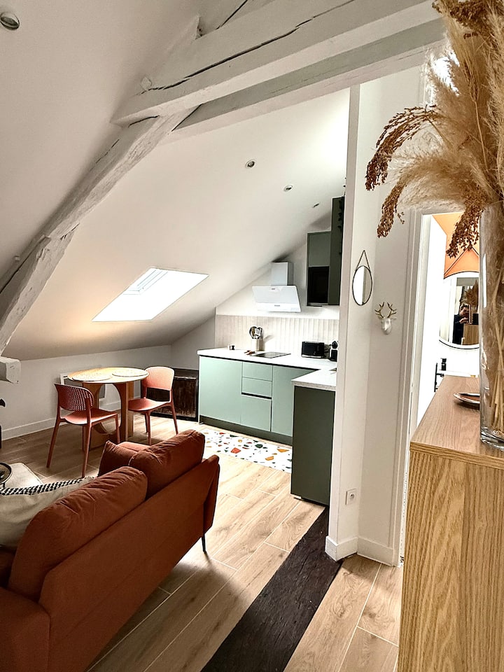 Appartement Centre-ville D’orléans Et Proche Gare - Orléans