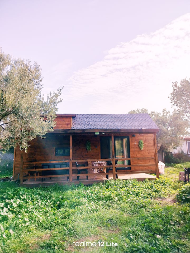 Lotus Evi
Zeytin Ağaçlarının Arasındaki Cennetiniz - Seferihisar