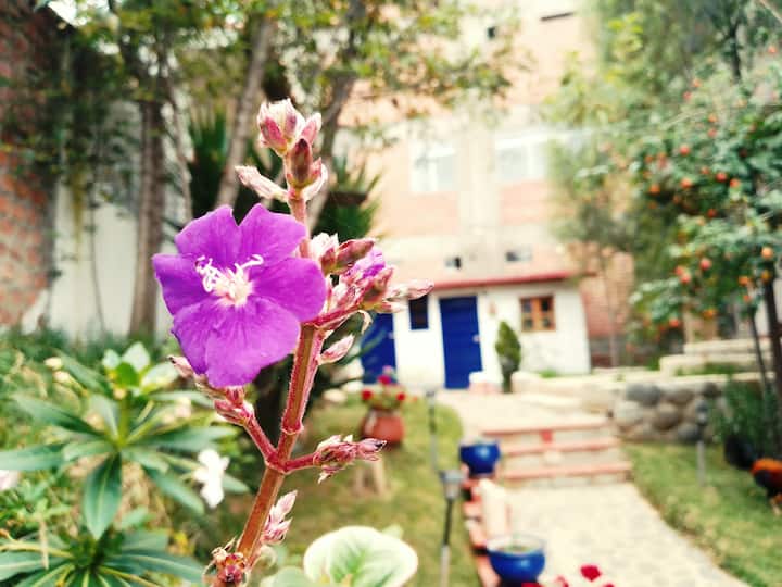 Cabaña Azul Andes - Ancash