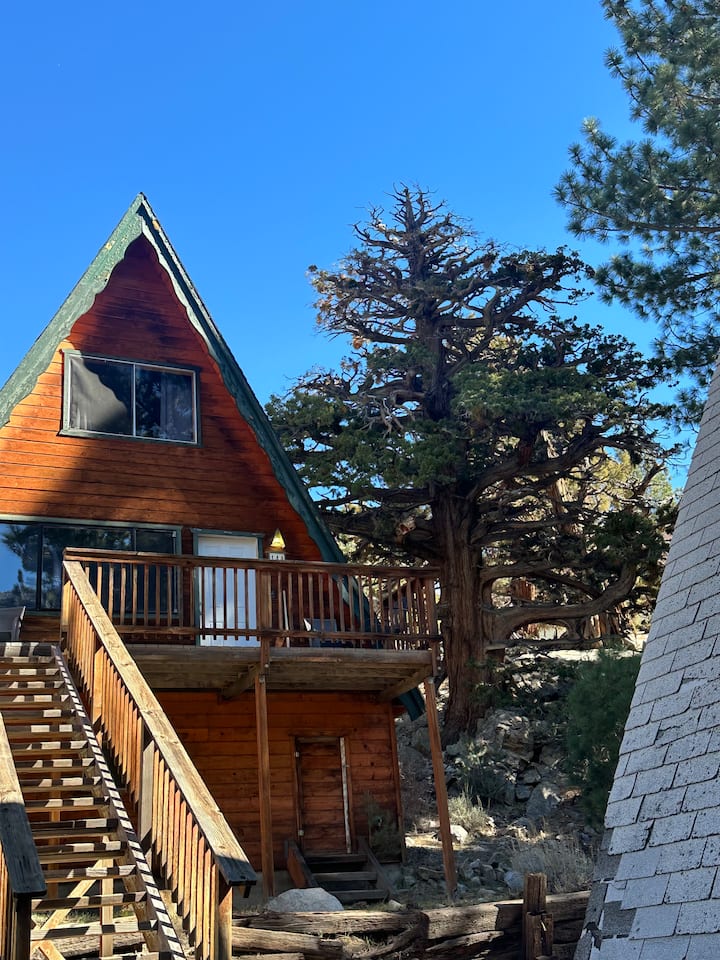 Bluebird - June Lake, CA