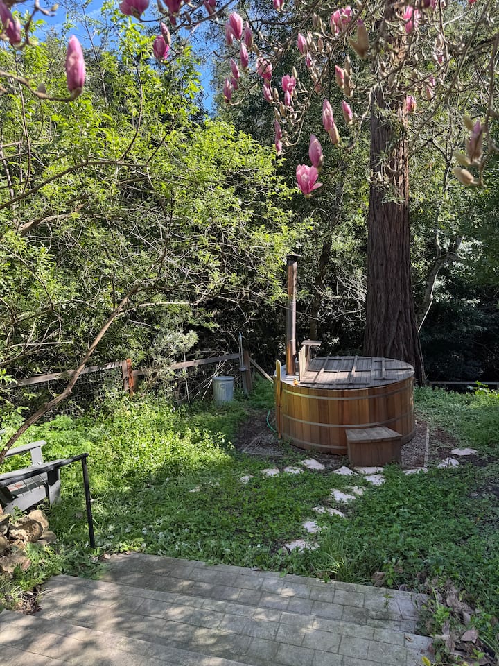 Dirt Manor: A Cozy Creekside Cabin - San Ramon, CA