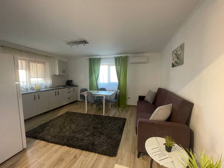 Apartament Cu 2 Camere Situat îNtr-o Casă. - Satu Mare