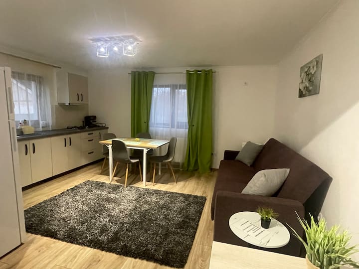 Apartament Cu 2 Camere Situat îNtr-o Casă. - Satu Mare