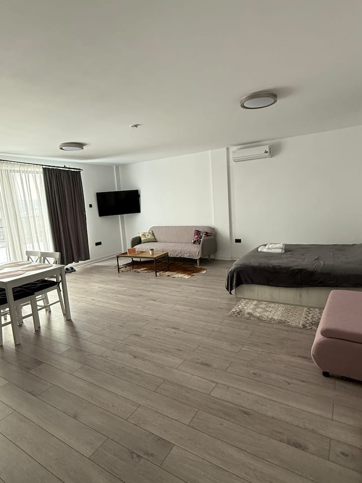Copou Luxury Suites — Apartament Studio - Vaslui