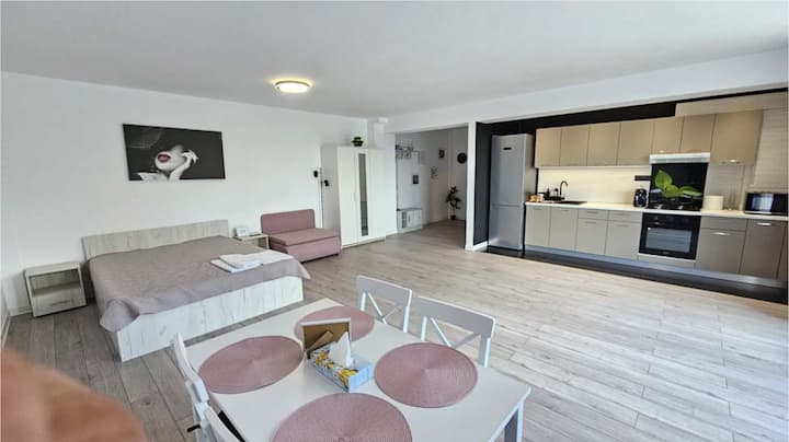 Copou Luxury Suites — Apartament Studio - Vaslui