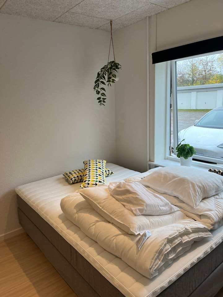 Billund Mini Hostel Room 2 - Billund