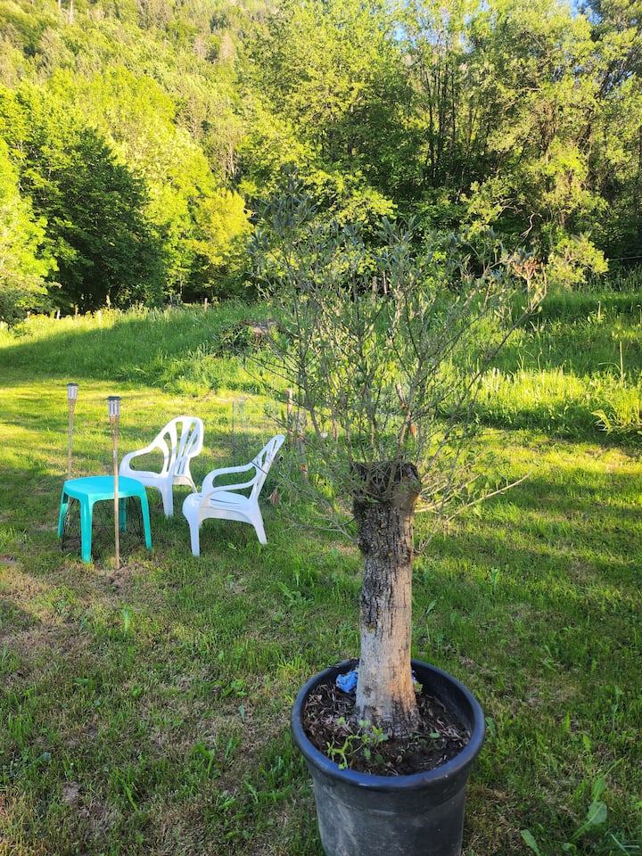 Appartement Entre Lac Et Montagne - Faverges