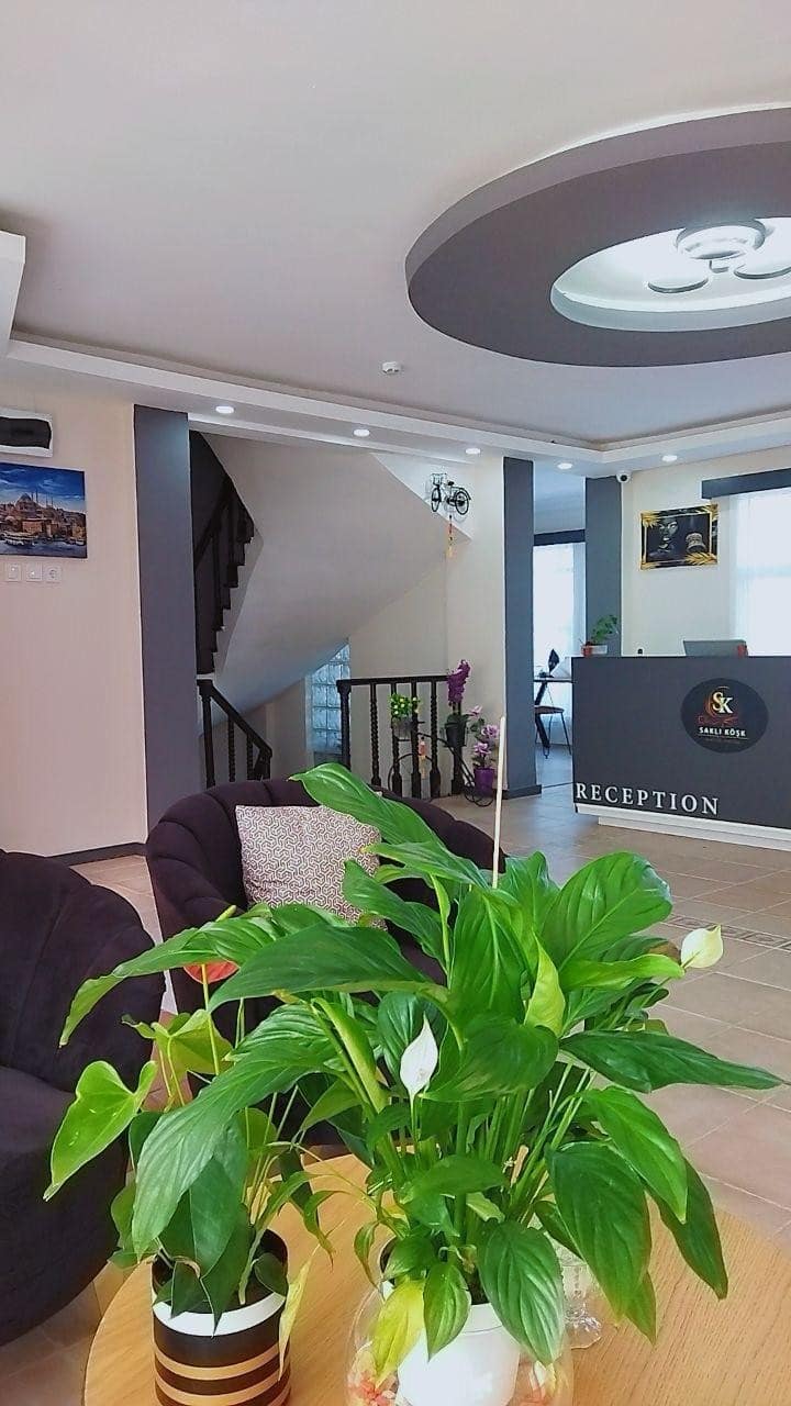 Uludağ'a Yakın Tarihi Konak (302) - Bursa