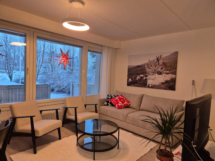 Viihtyisä Huoneisto - Sauna Ja Ilmainen Pysäköinti - Rovaniemi