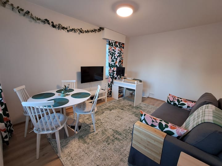 Newly Renovated Apartment With Excellent Location - Turku