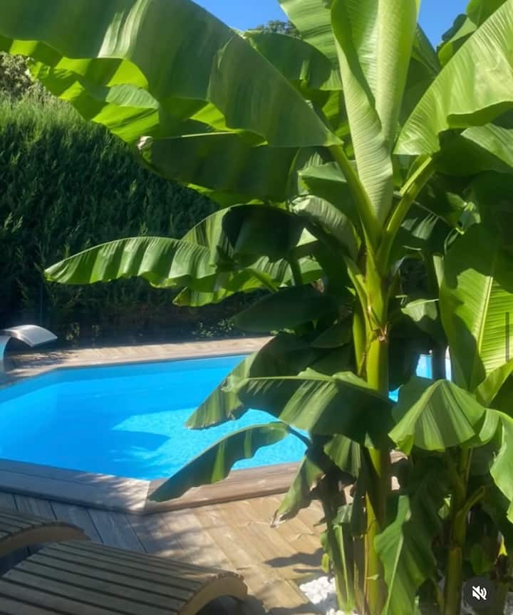 Maison De 130 M² 4 Personnes à 5 Min De Colmar - Colmar