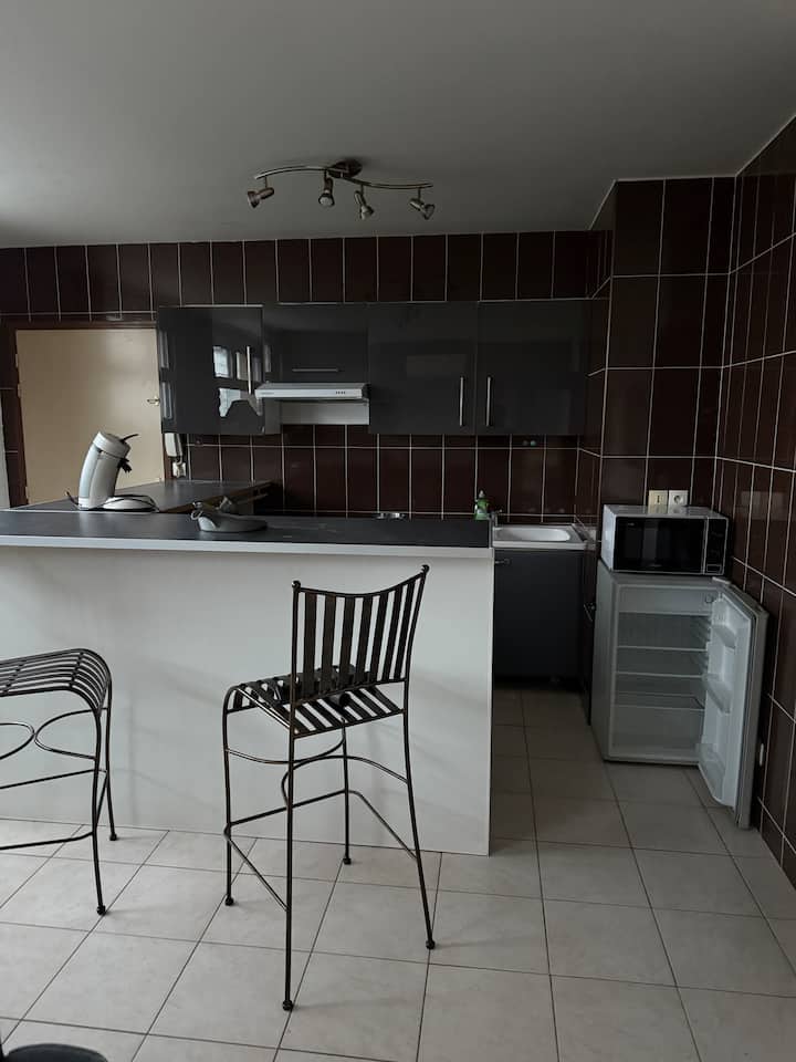 Très Beau T2 Rdc Climatisé Tv Hifi - Oyonnax