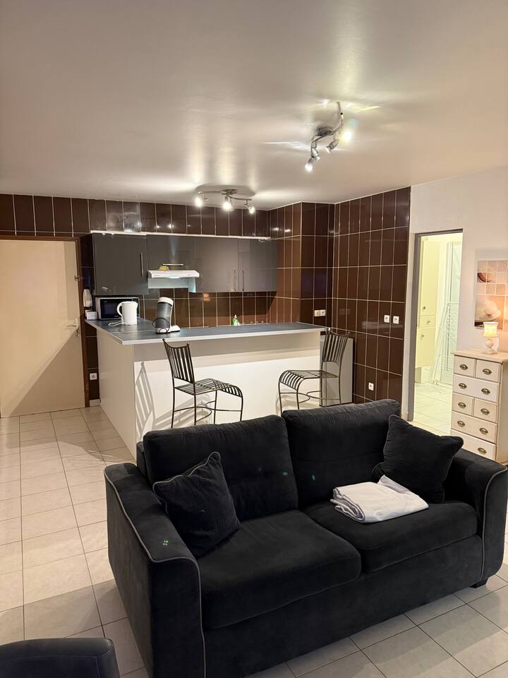 Très Beau T2 Rdc Climatisé Tv Hifi - Oyonnax