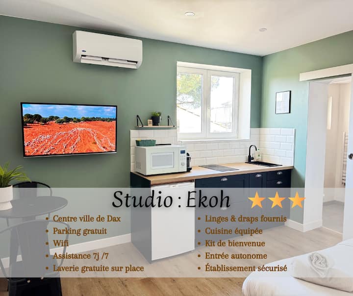Studio Ekoh, à 500m Du Centre Ville - Saint-Paul-lès-Dax
