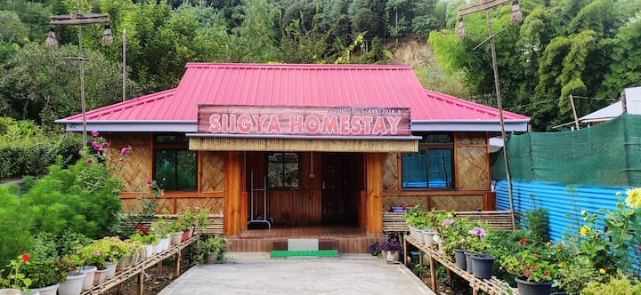Warm And Cozy - Ziro